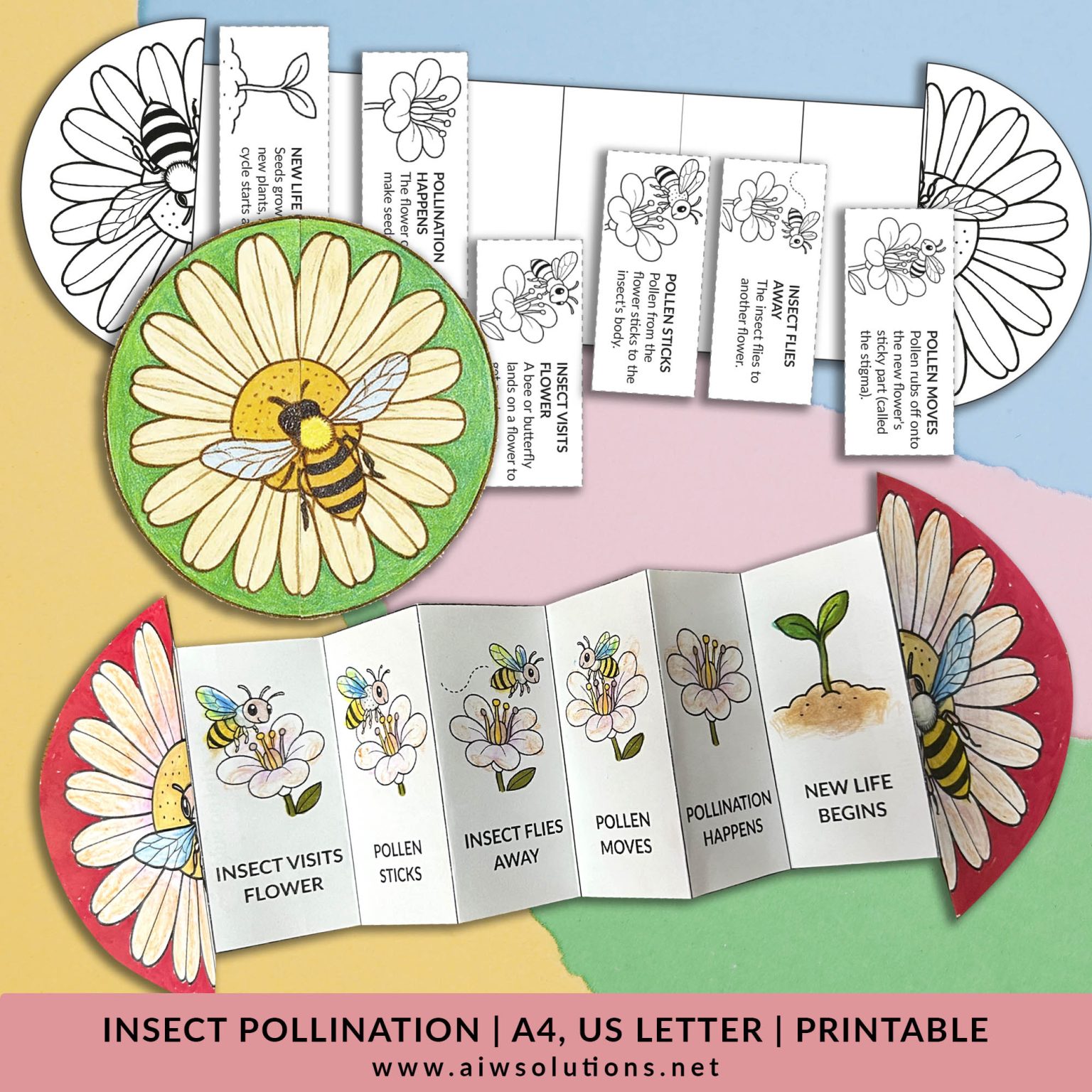 insect pollination sequencing craft, pollination cut and paste flower ...