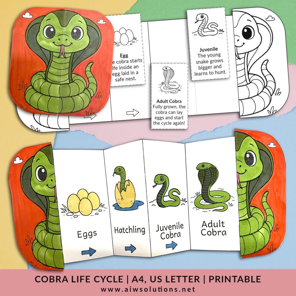 Life cycle of a cobra snake foldable sequencing activity,snake life ...