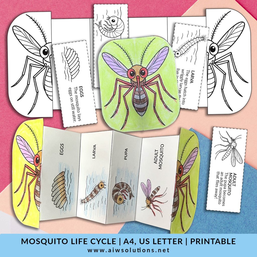 life cycle of mosquito for kindergarten, mosquito cut and glue ...