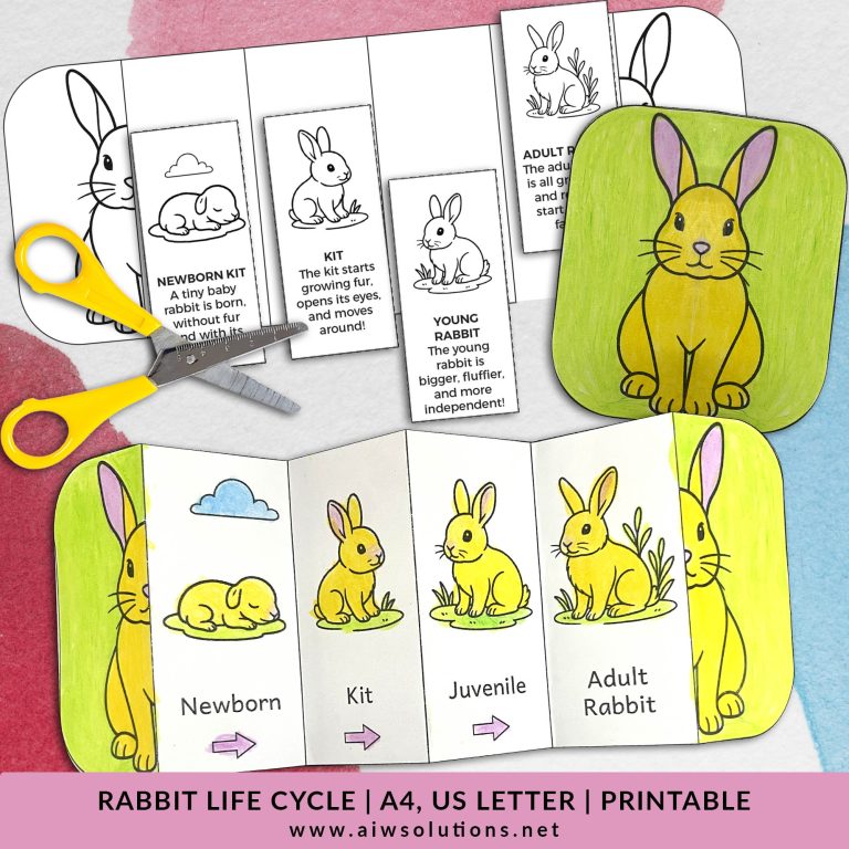 Rabbit life cycle activity, Animal foldable activity, Rabbit science ...