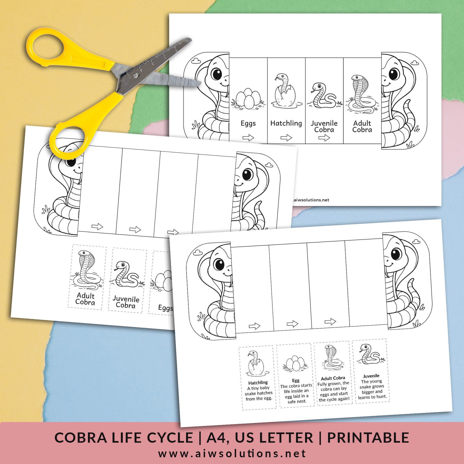 Life cycle of a cobra snake foldable sequencing activity,snake life ...