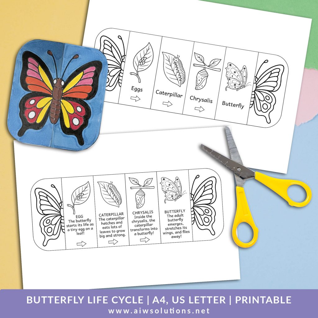 Butterfly life cycle activity, Butterfly foldable activity,Butterfly ...