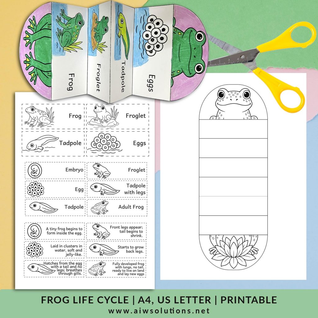 Life cycle of a frog foldable kids’ craft, Science craft, frog ...