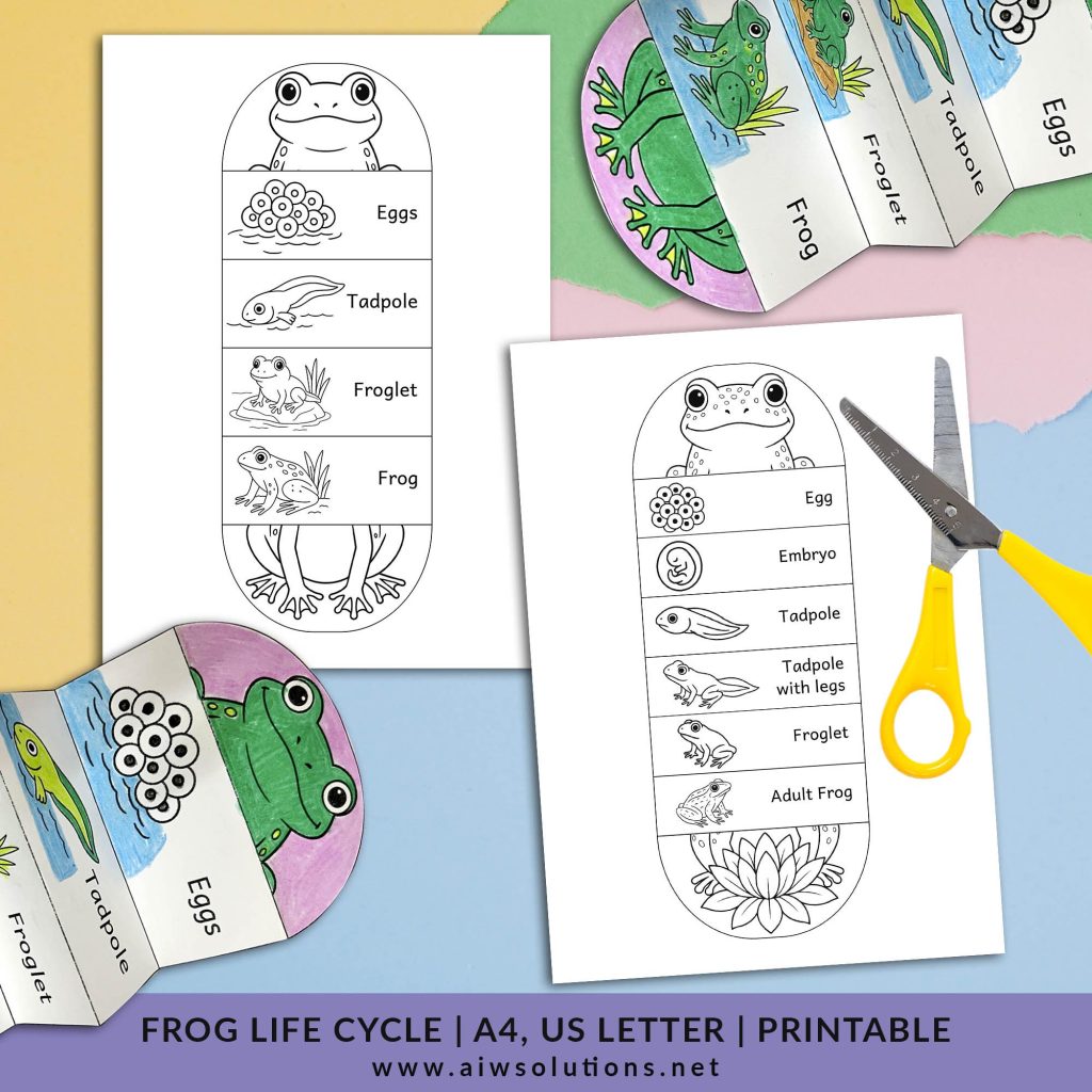 Life cycle of a frog foldable kids’ craft, Science craft, frog ...
