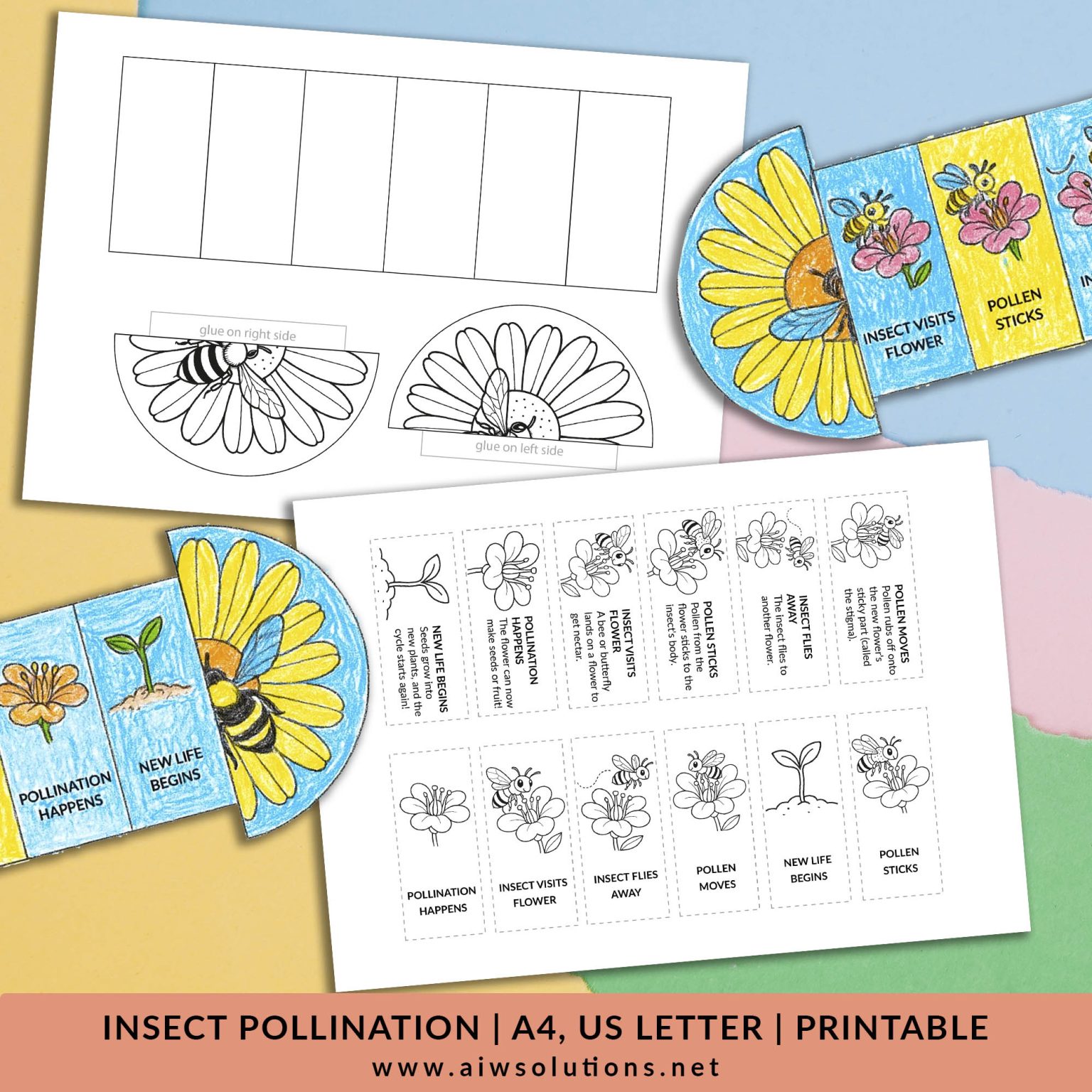 insect pollination sequencing craft, pollination cut and paste flower ...