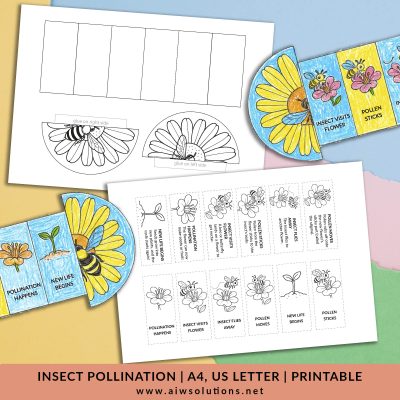 insect pollination sequencing craft, pollination cut and paste flower ...