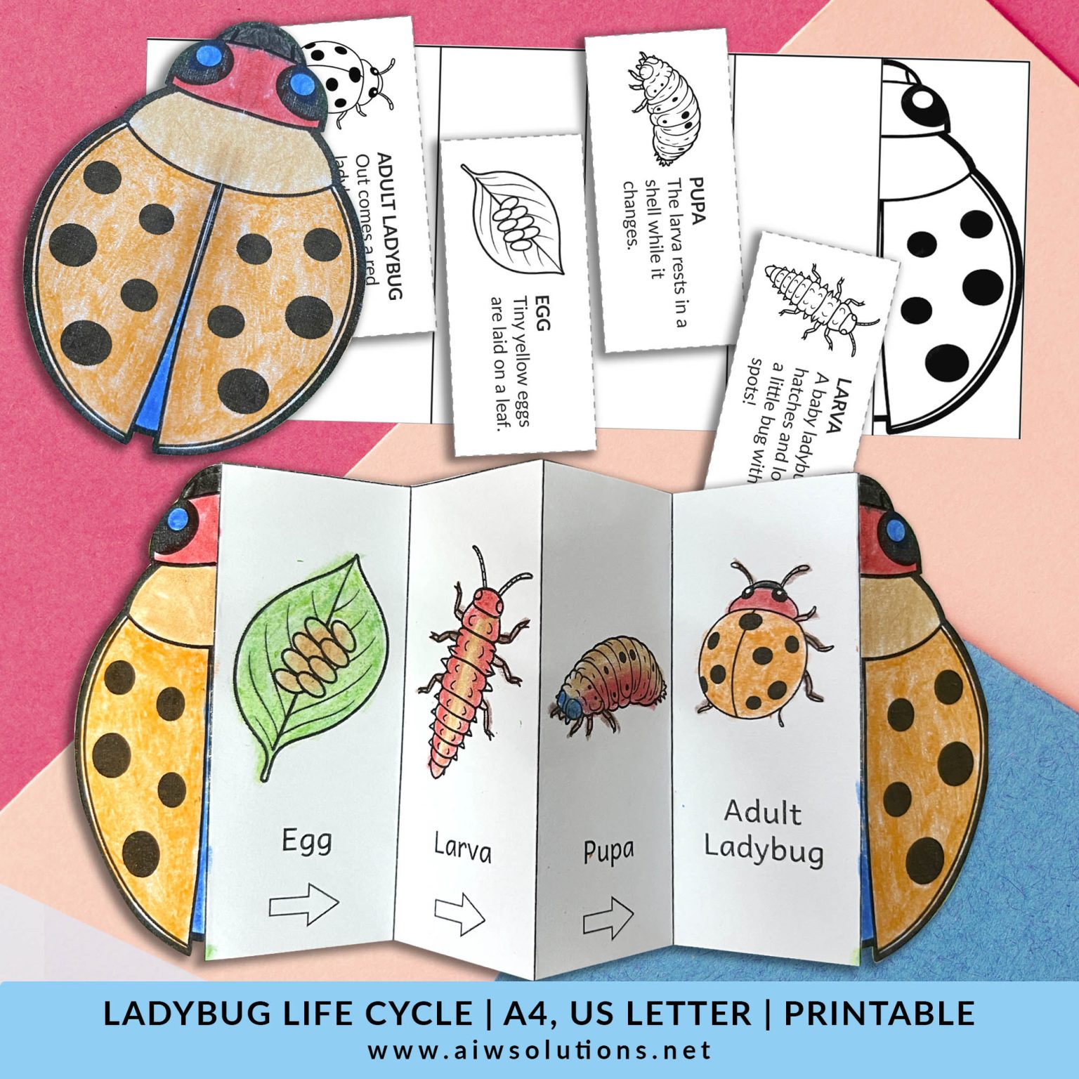 ladybug life cycle stages for kids, easy insect life cycle craft ...
