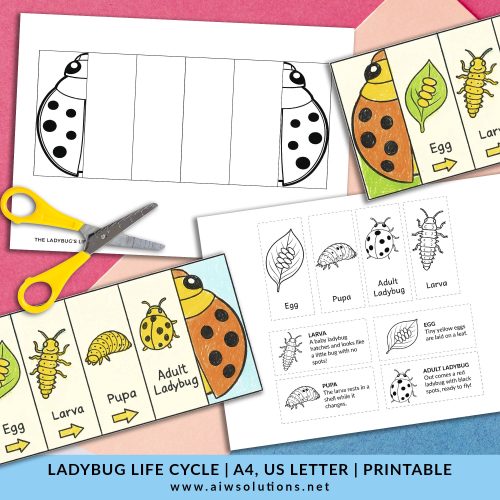 ladybug life cycle stages for kids, easy insect life cycle craft ...