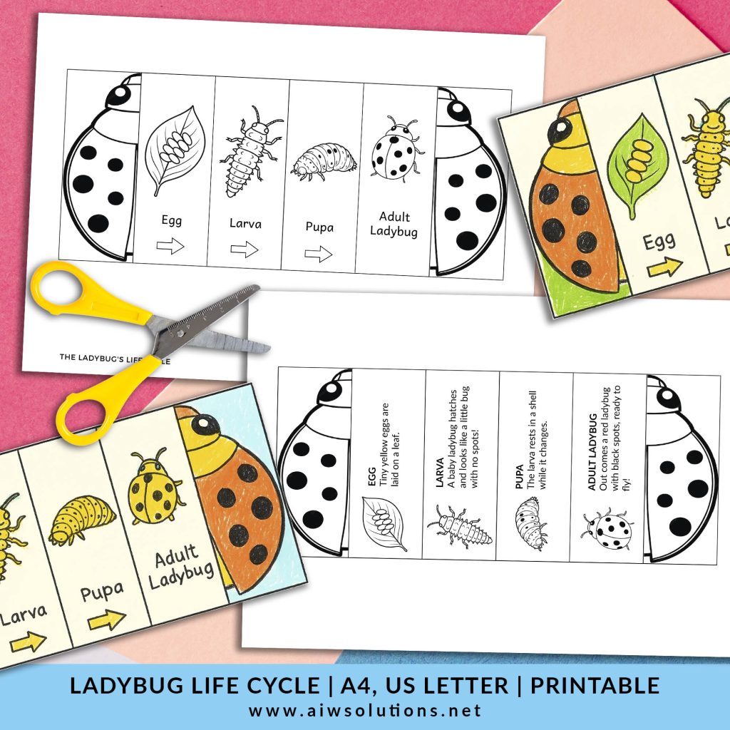 ladybug life cycle stages for kids, easy insect life cycle craft ...