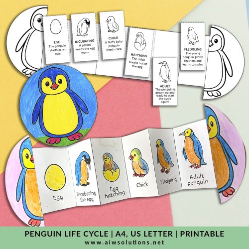 life cycle of a penguin foldable kids’ craft activity, penguin life ...