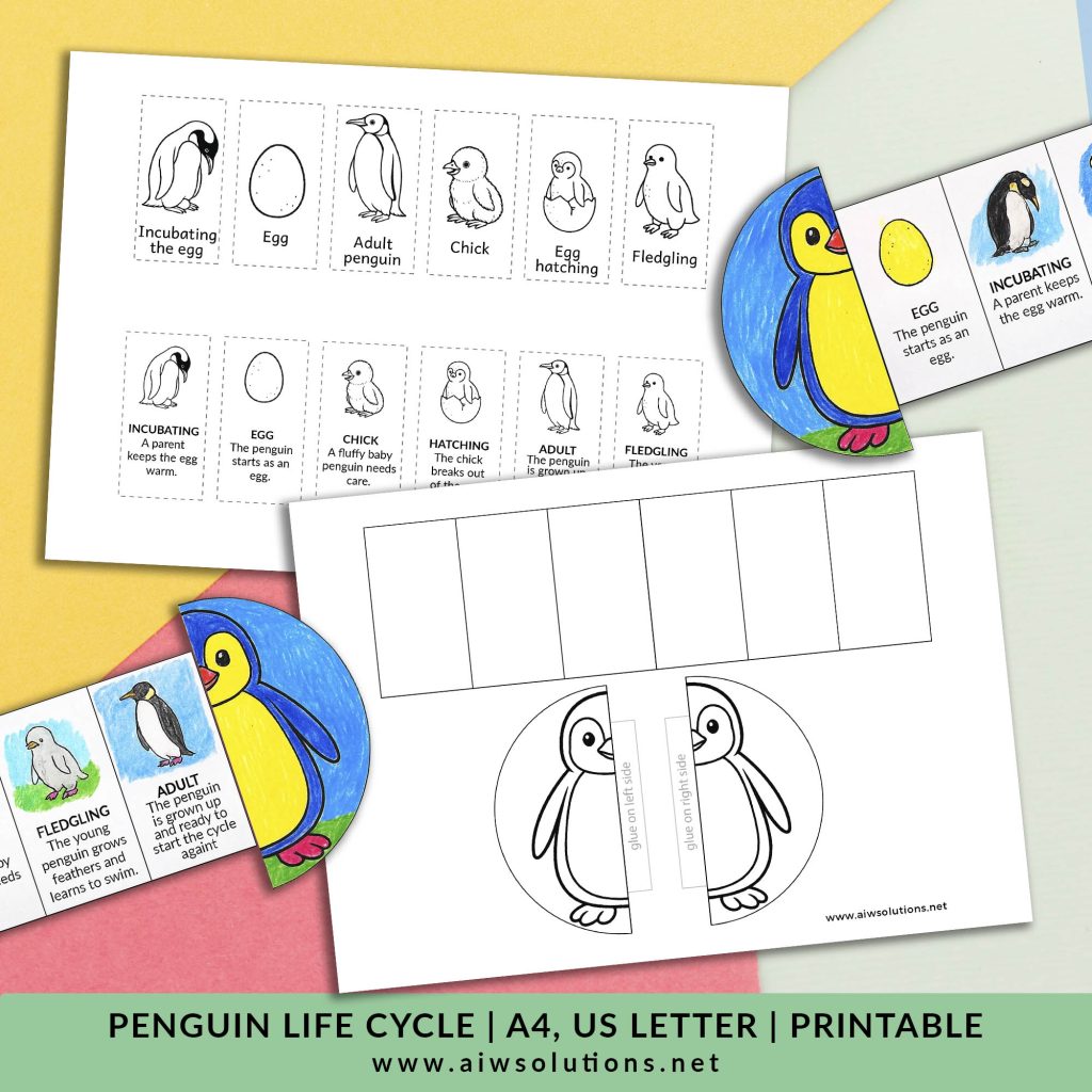 life cycle of a penguin foldable kids’ craft activity, penguin life ...