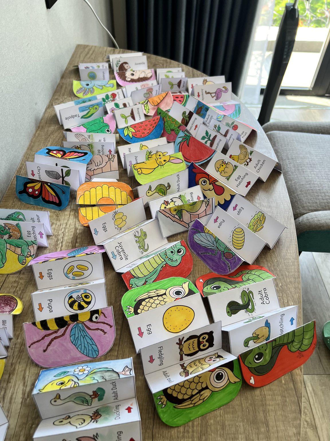 phases of the moon craft, moon phases activity for kids, moon phases ...