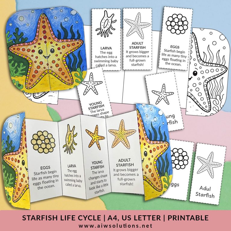 Starfish life cycle for kids, sea animal science activity, marine ...