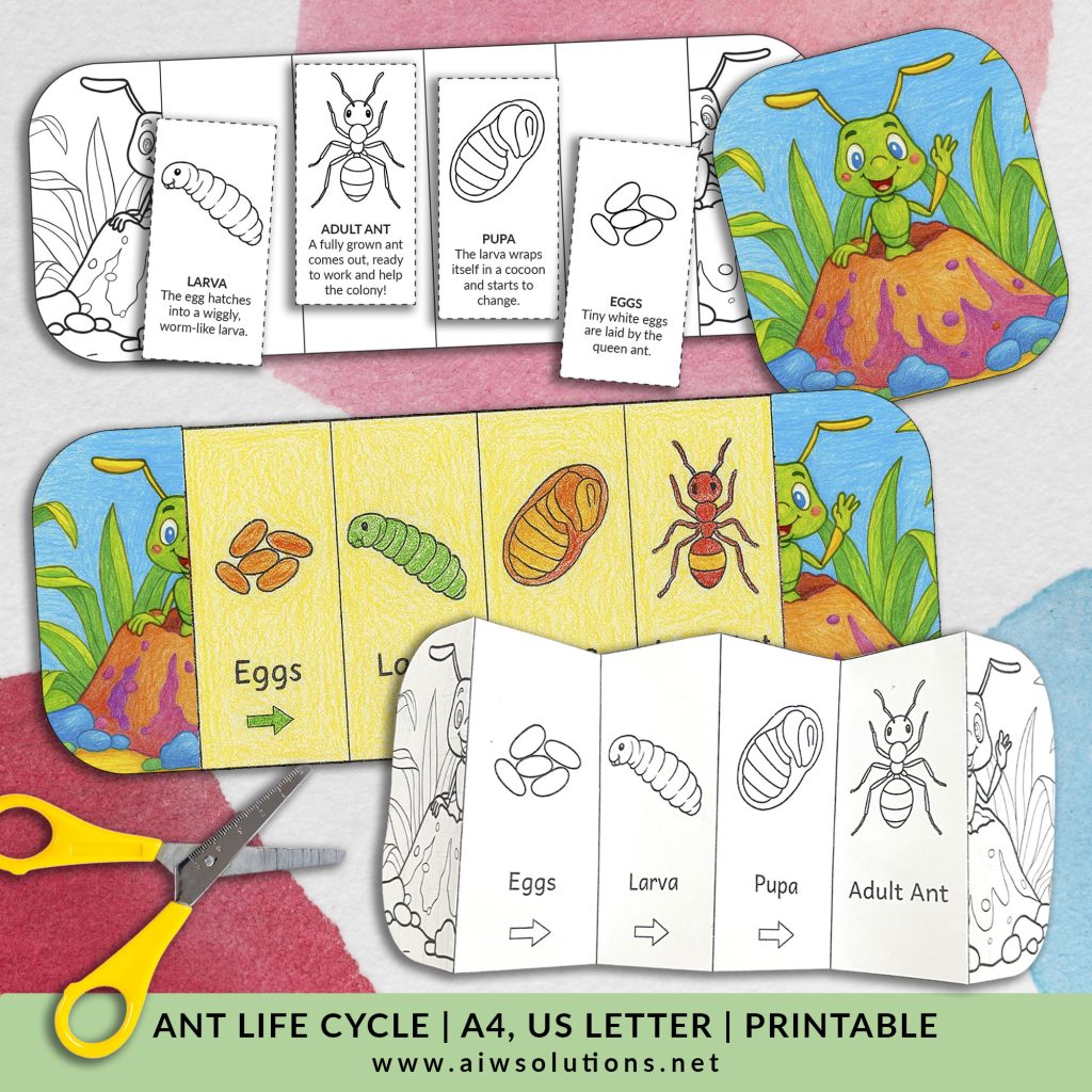 life cycle of an ant, ant worksheet, printable ant activity, ant ...