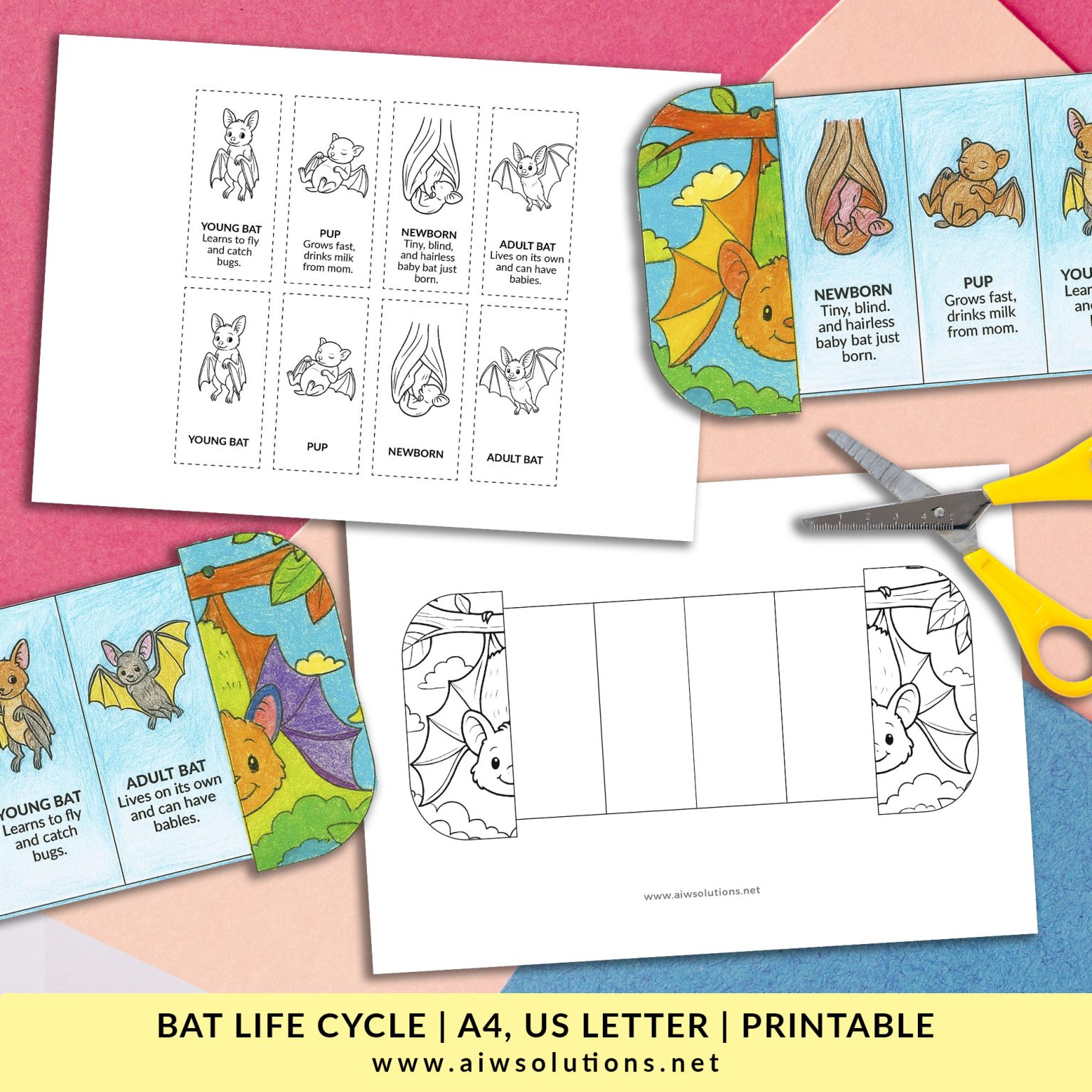 bat life cycle, life cycle of a bat, bat sequencing activity, bat craft ...