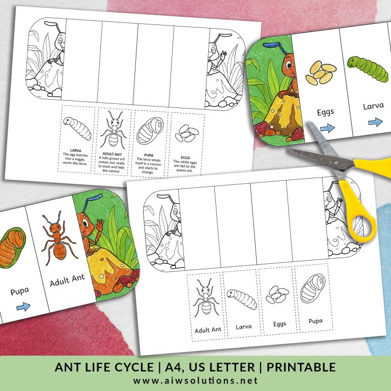 life cycle of an ant, ant worksheet, printable ant activity, ant ...