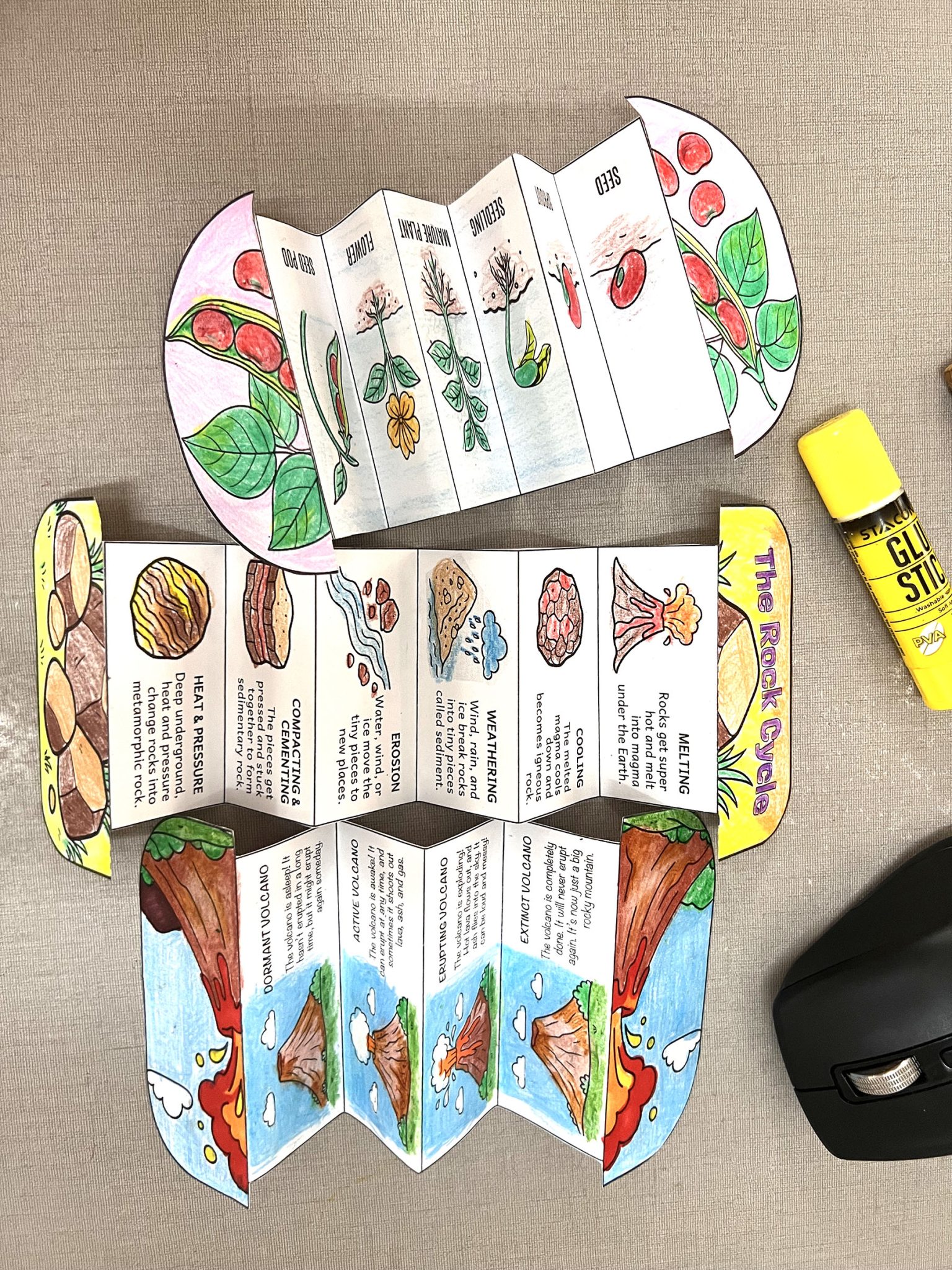 The Rock Life Cycle – Cut, Color, Fold Activity, STEM crafts for kids ...